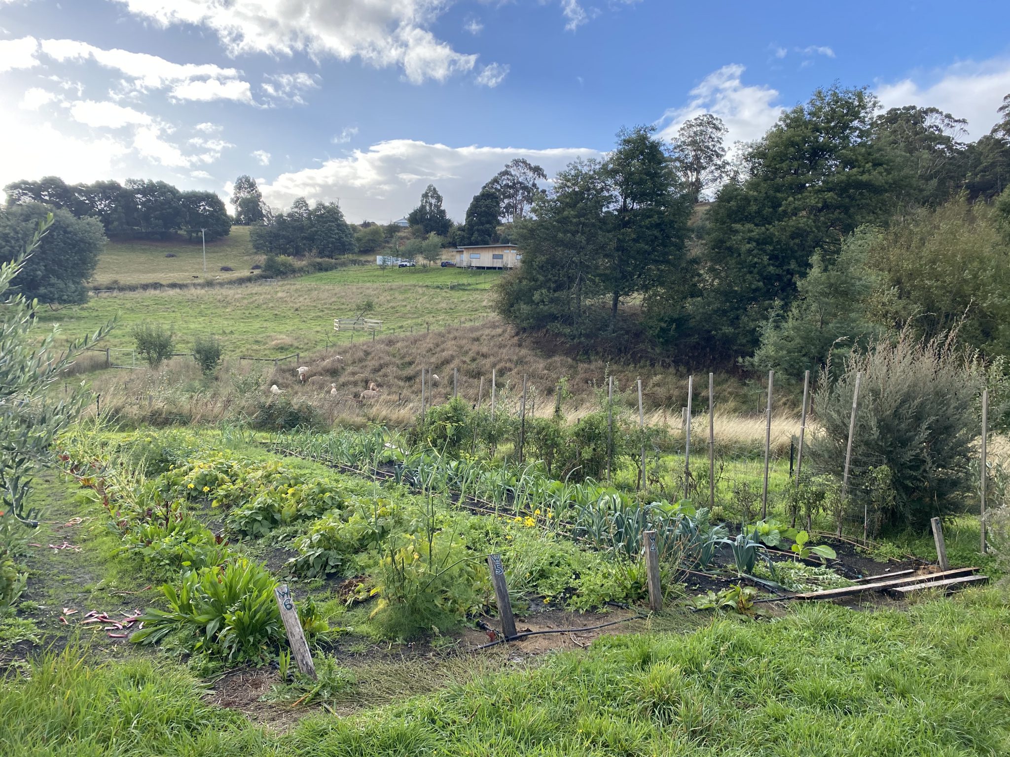 Is a Trip to Fat Pig Farm in Tasmania Worth the Money? An Honest Review