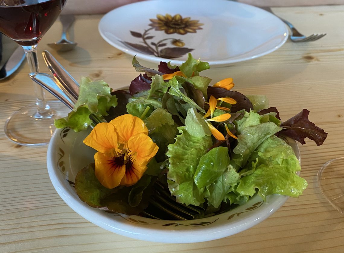 Is a Trip to Fat Pig Farm in Tasmania Worth the Money? An Honest Review